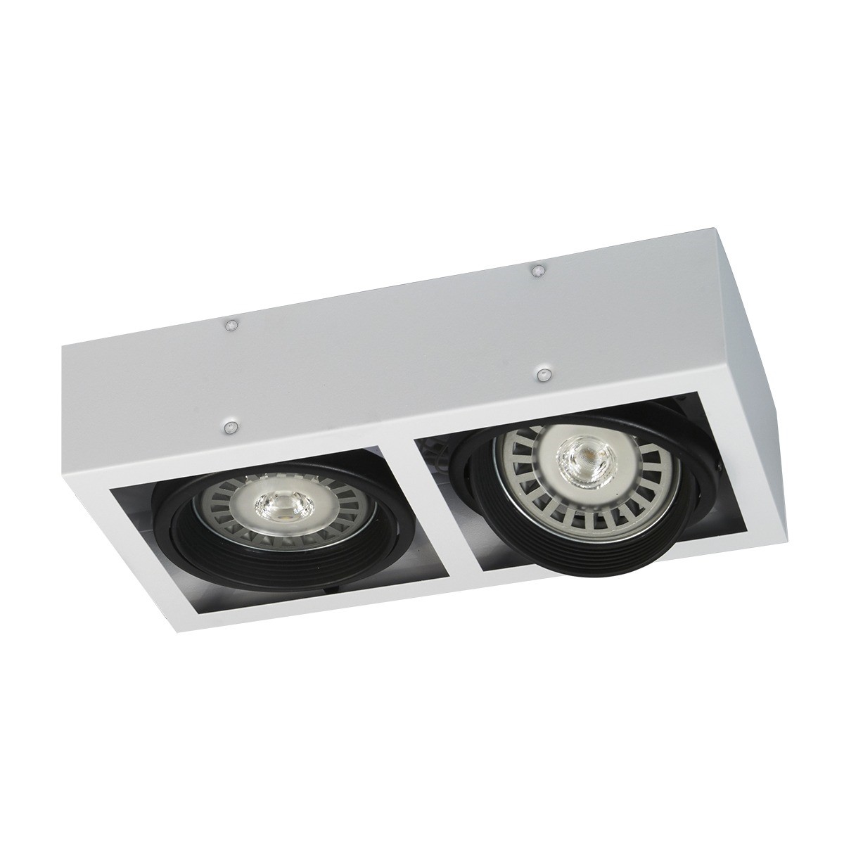 ARTEFACTO AR111 CARDANICO BLANCO DE ADOSAR DE 2 LUCES SPOTSLINE | Electropar S.A.